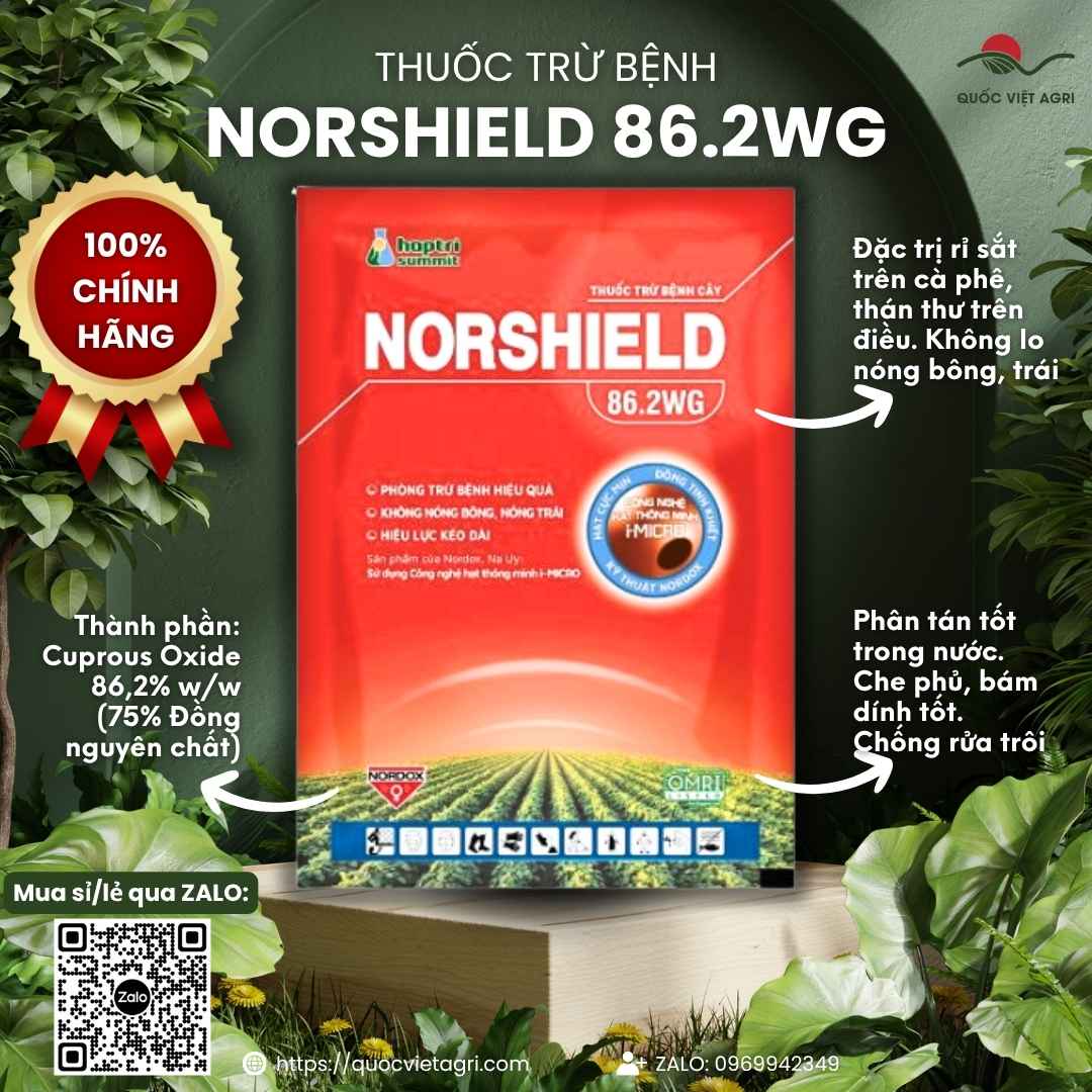 Thuốc Trừ Bệnh Norshield 86.2WG (250g) | Áo Giáp Đồng Đỏ, Chống Kháng ...